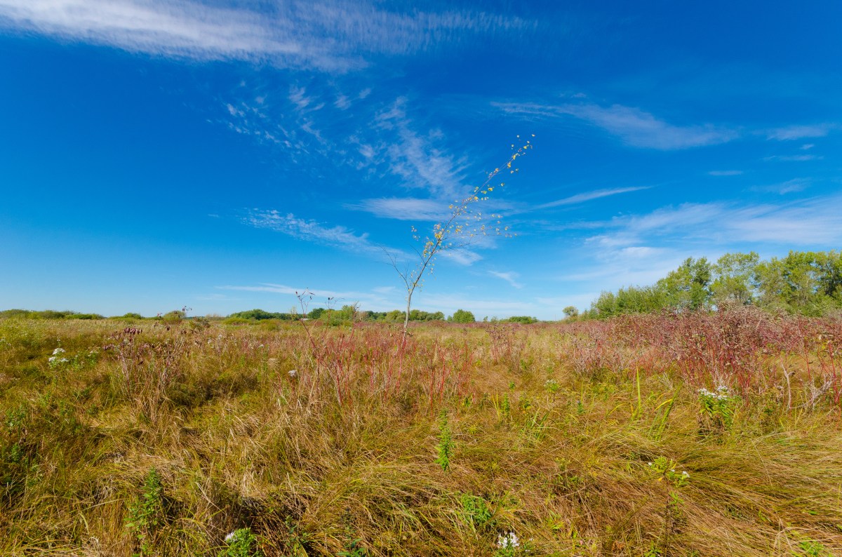 Cherokee Marsh, SNA #130 (37/674) – State Natural Areas of Wisconsin