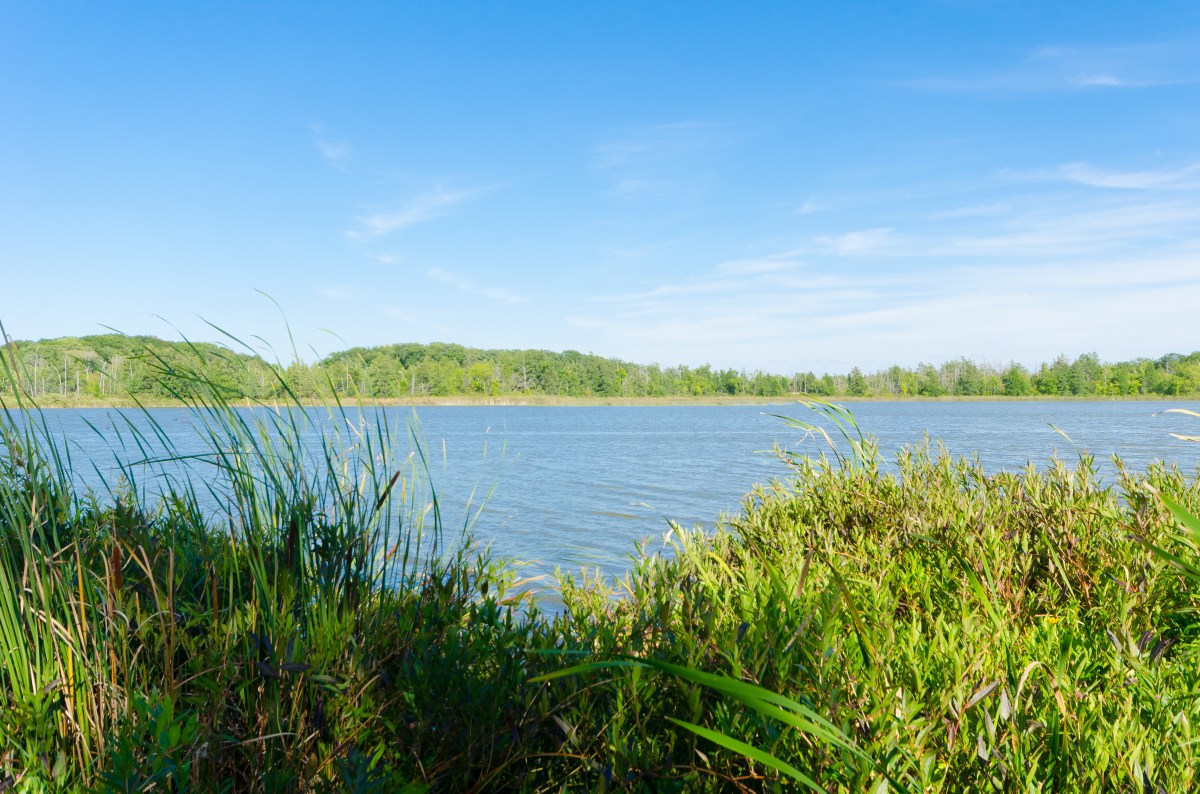 Bean Lake, SNA #111 (63/674) – State Natural Areas of Wisconsin