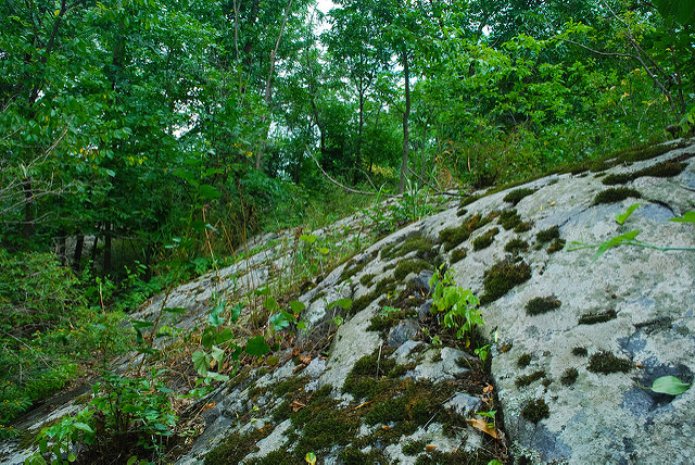 Waterloo Quartzite Outcrops, SNA #605 (141/675) – State Natural Areas ...