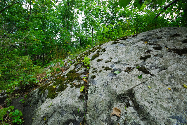 Waterloo Quartzite Outcrops, SNA #605 (141/675) – State Natural Areas ...