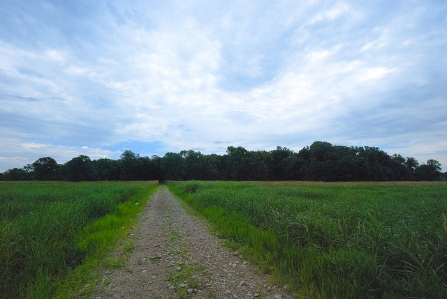 Waterloo Quartzite Outcrops, SNA #605 (141/675) – State Natural Areas ...