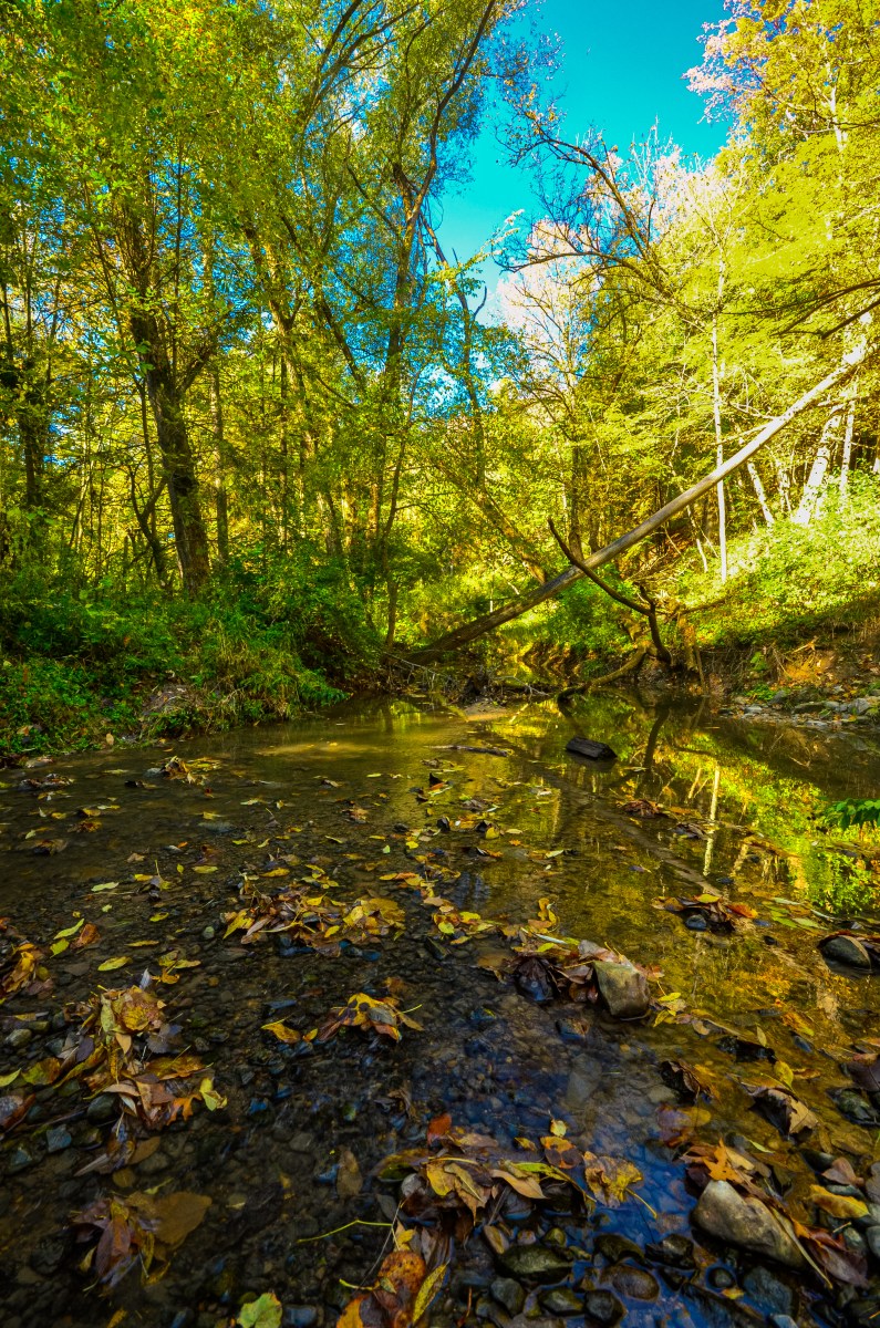 Fairy Chasm (333/693) – State Natural Areas of Wisconsin